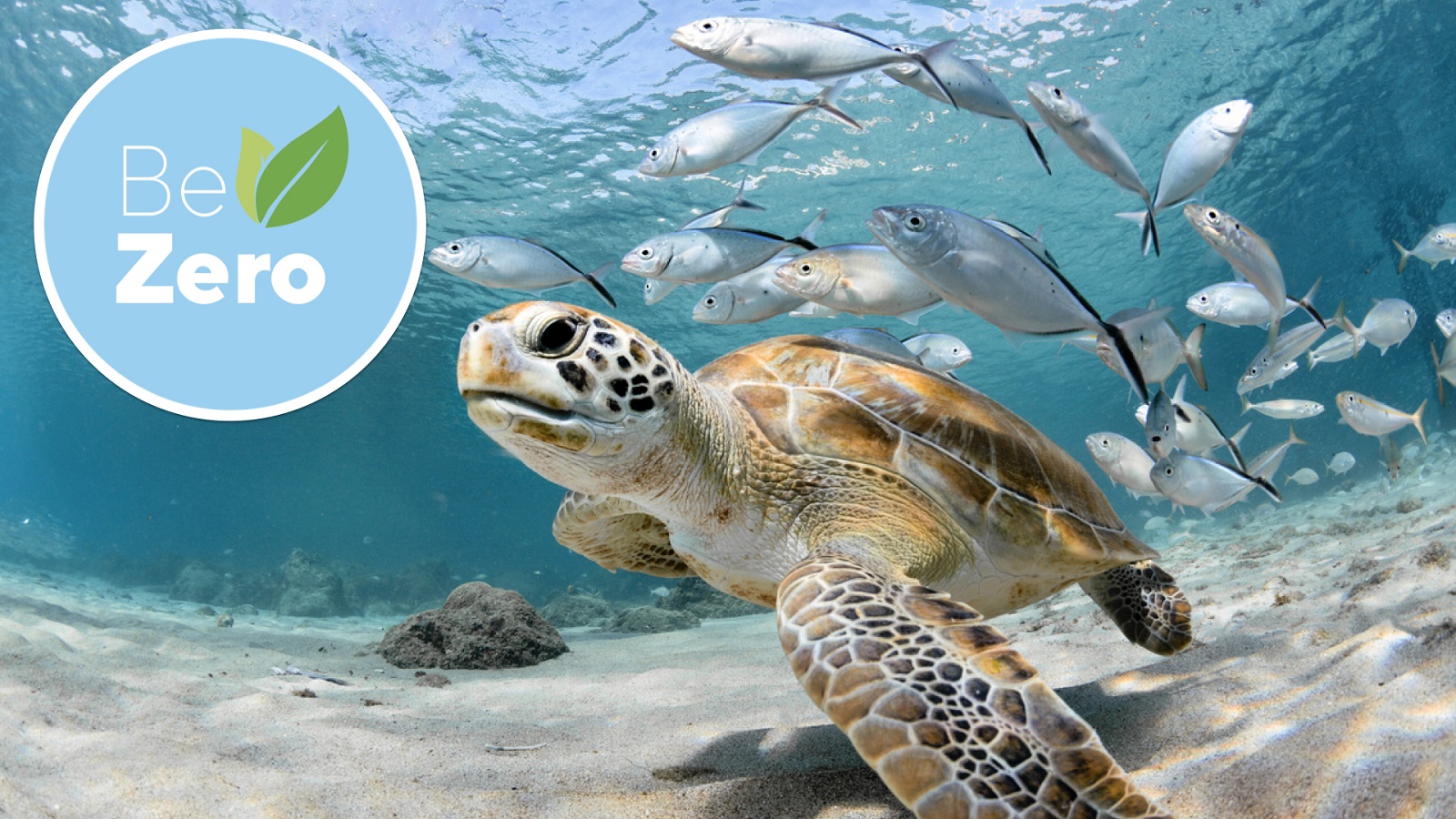 Jigsaw Support - Homelessness, Domestic Abuse, Support for families and ...